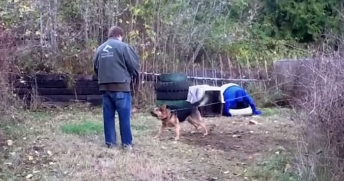 Heroic Act: Good Samaritan Rescues A Dog That Was Chained His Whole Life